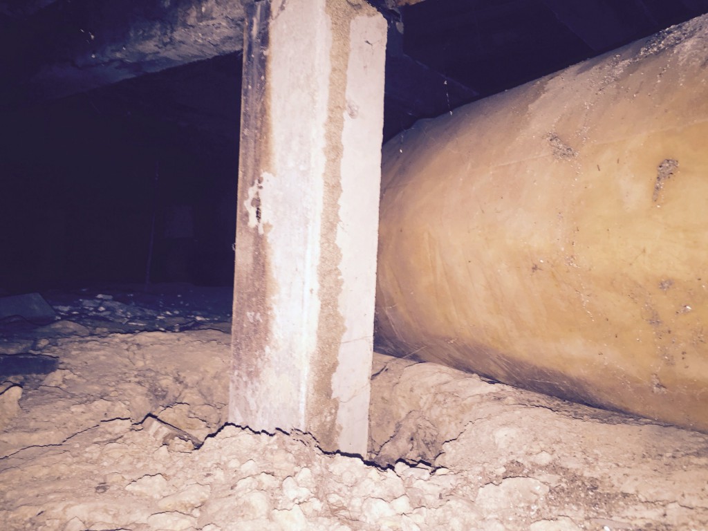 Termite Inspection Melbourne | Termite Treatment Specialist